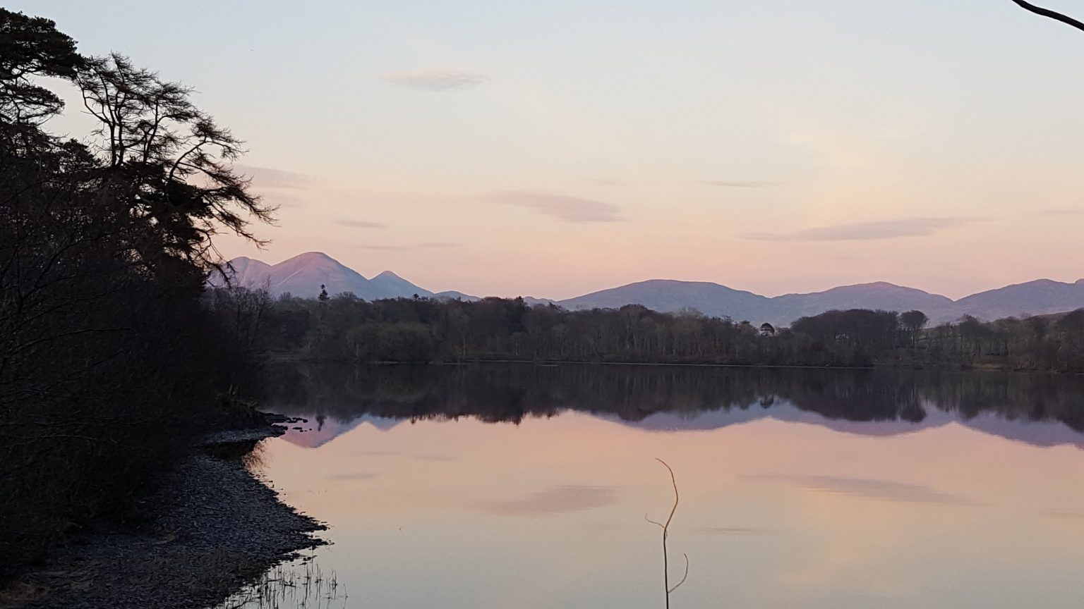 Islay Walks: Ballygrant Woods - Persabus